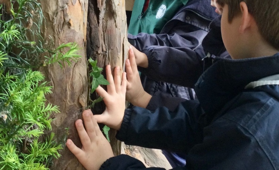 Year 3 Forest School - The Pilgrims' School
